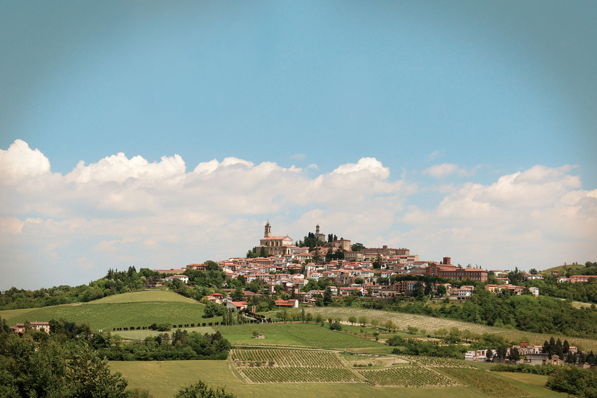 Dove siamo? Vignale Monferrato - Comune di Vignale Monferrato